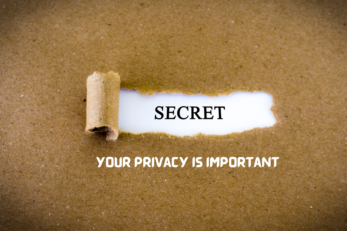 Privacy Policy - Southern Dragon Publishing