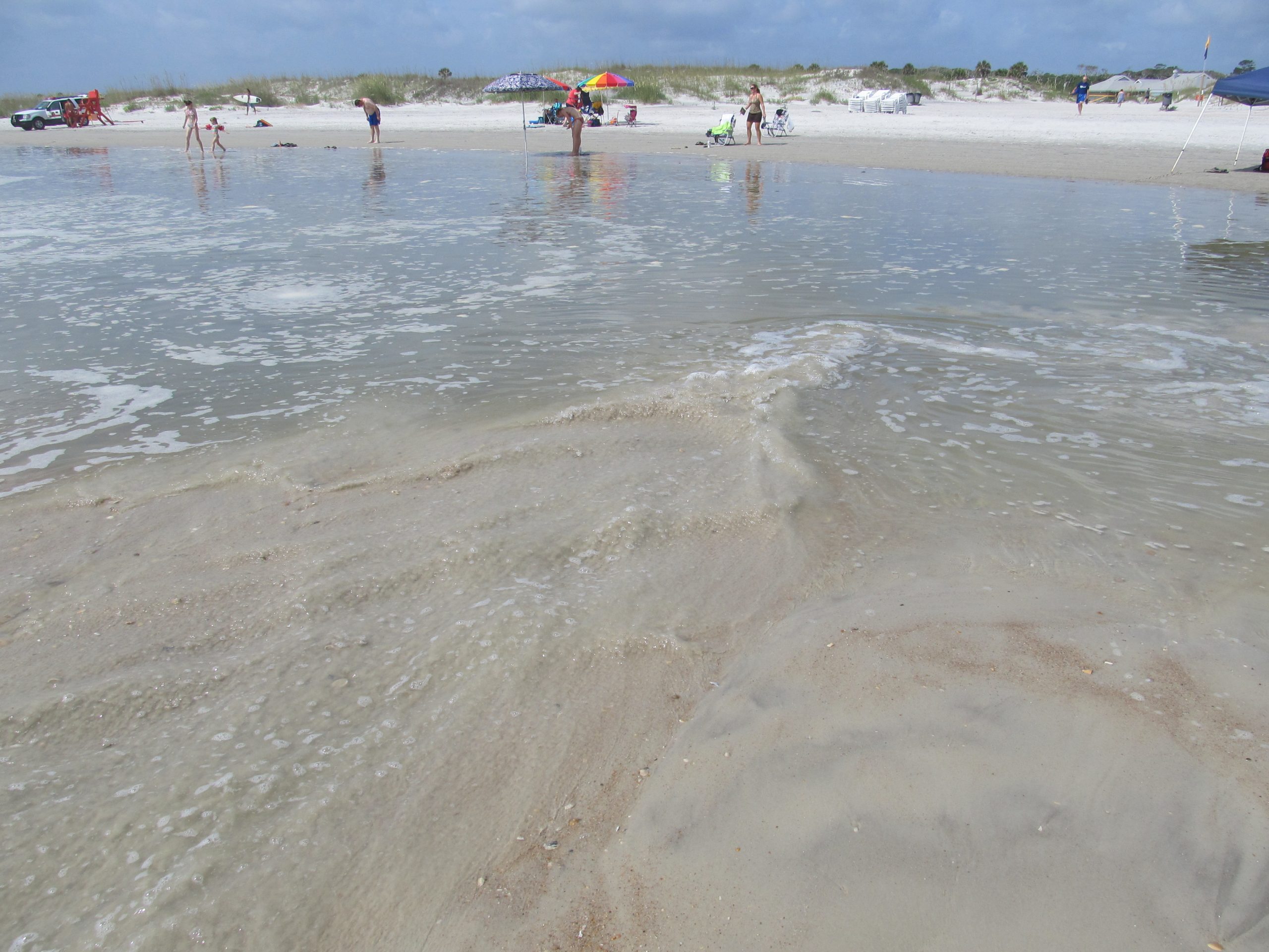 Southern Dragon Publishing - Where every story finds its fire